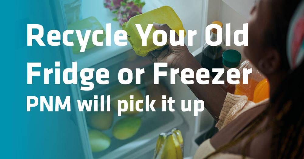Fridge & Freezer Recycling - pnmprod - pnm.com