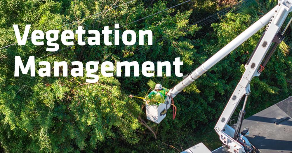 Vegetation Management - pnmprod - pnm.com