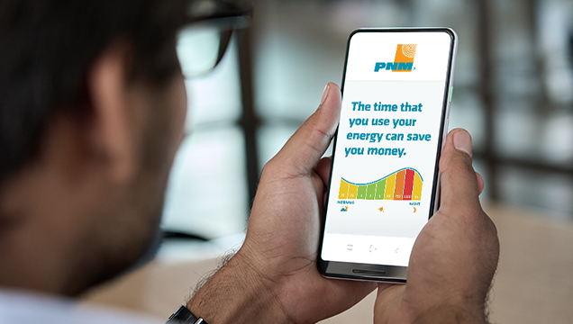 PNM | Public Service Company of New Mexico - pnmprod - pnm.com