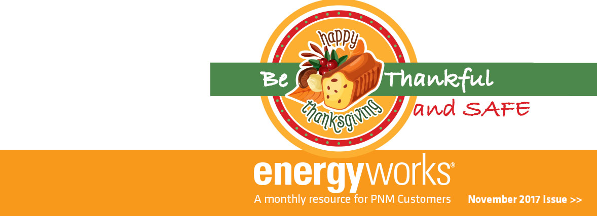 PNM | Public Service Company of New Mexico PNM | Public Service Company of New Mexico