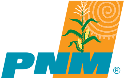 Move In / Out - pnmprod - pnm.com