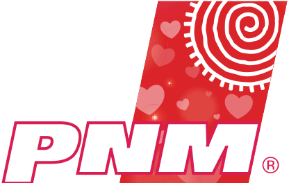 2015 Rate Case Documents - pnmprod - pnm.com